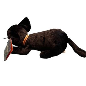 Disney | Toys | Disney Parks Hocus Pocus Thackery Binx Cat Plush | Poshmark